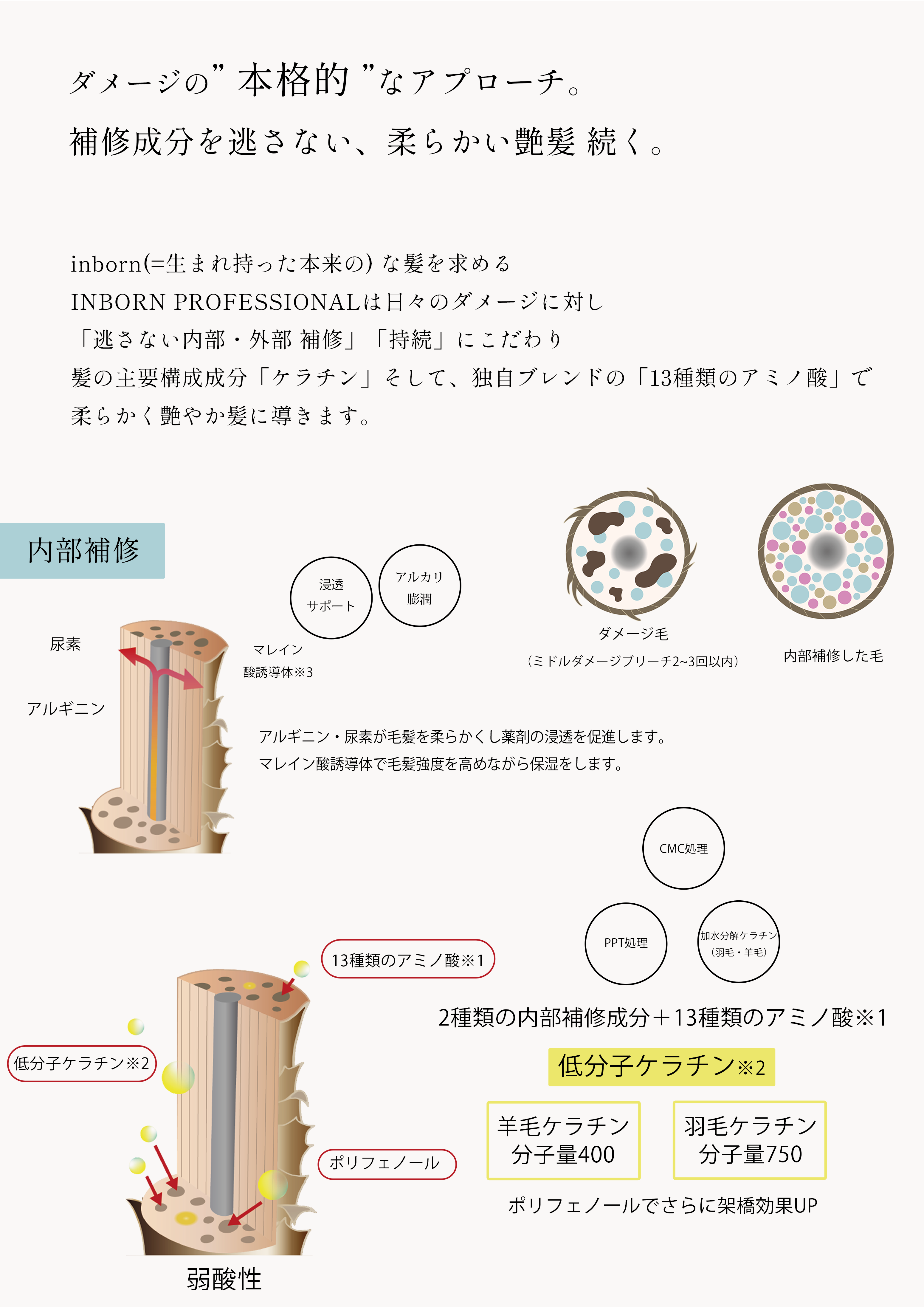 ②04.INBORN system treatment 5STEP | inborn／株式会社スタイラーズ